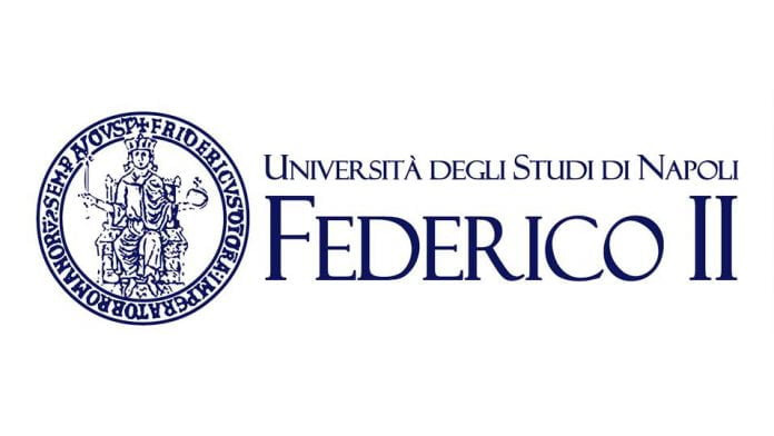 Double Degree program s Neapolskou univerzitou přijímá studenty JEN DO ...